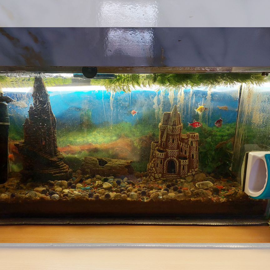 Продам аквариум с рыбками,Талнах