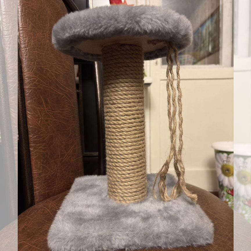 Когтеточка для котят