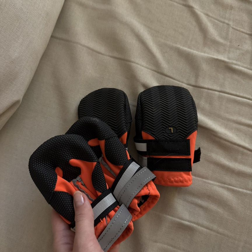 Обувь для слов собак