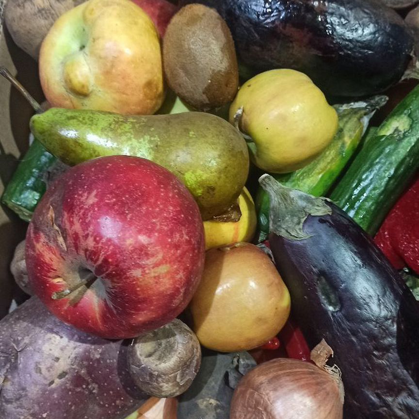 Овощи для животных