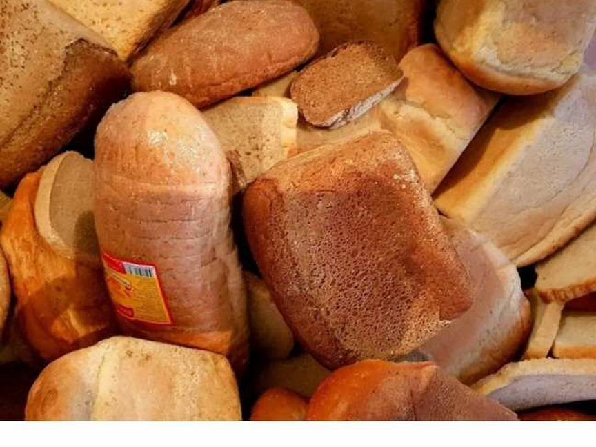 Корм для животных