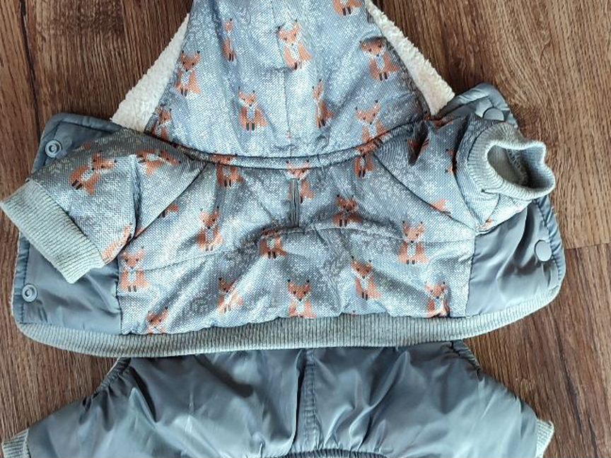 Одежда для собак