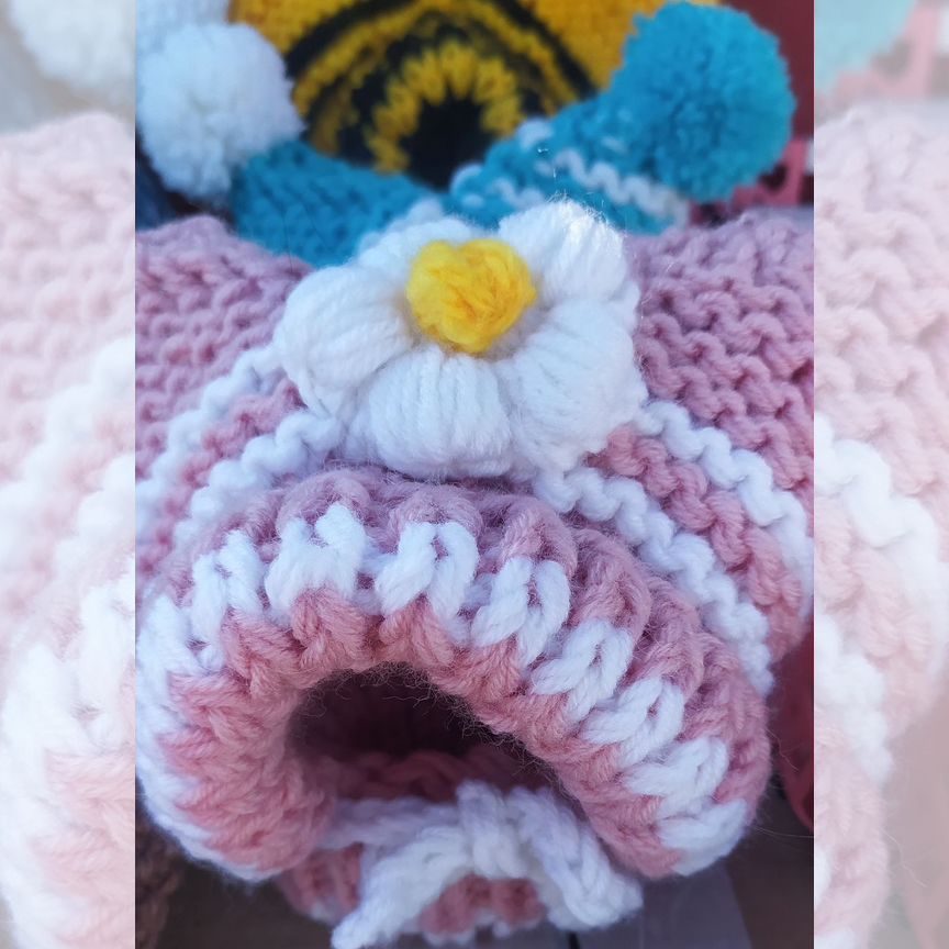 Шапочки для любимых питомцев