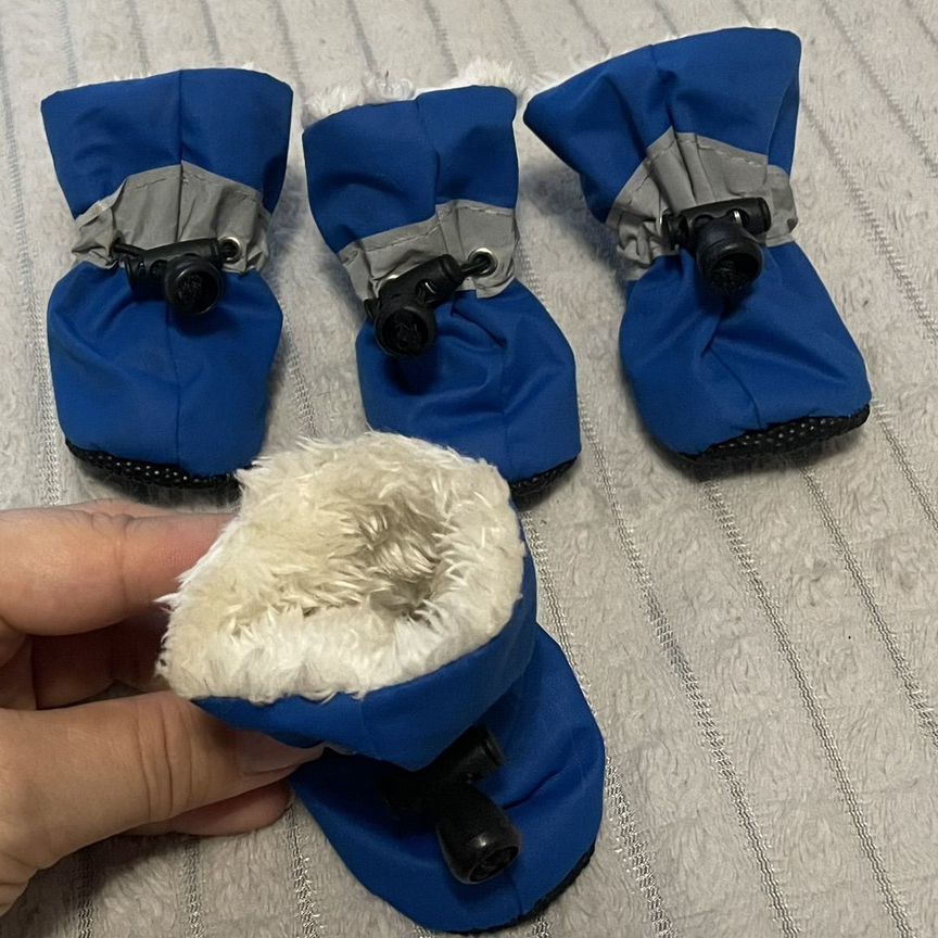 Сапожки для маленьких собак