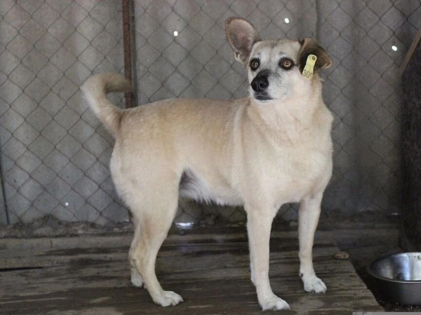 Белочка ищет семью