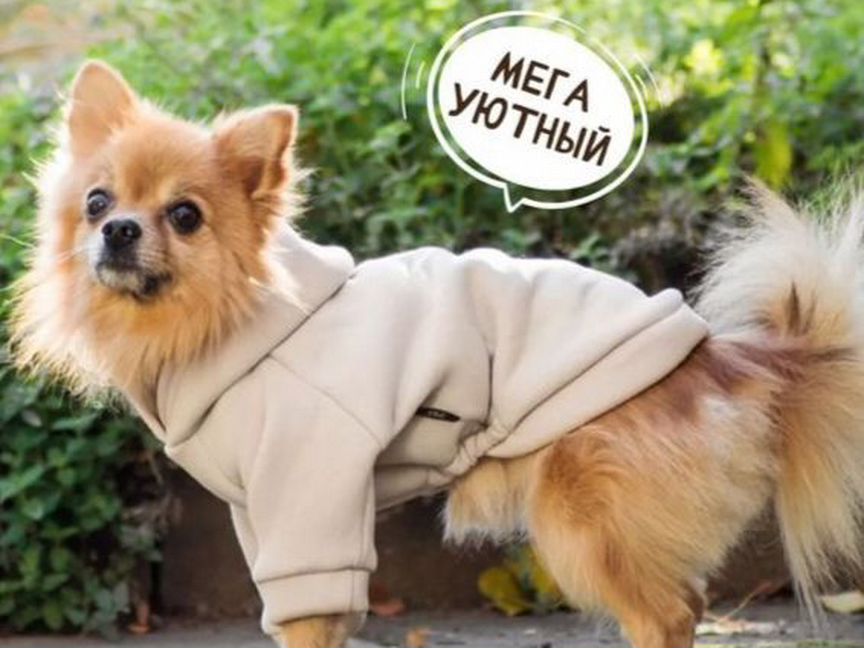 Худи для собак