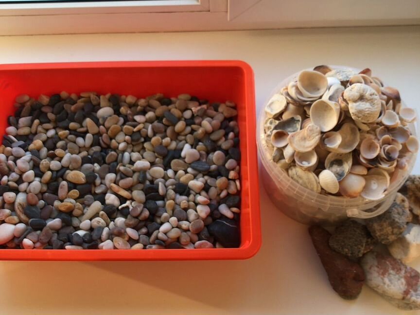 Галька для аквариума и ракушки