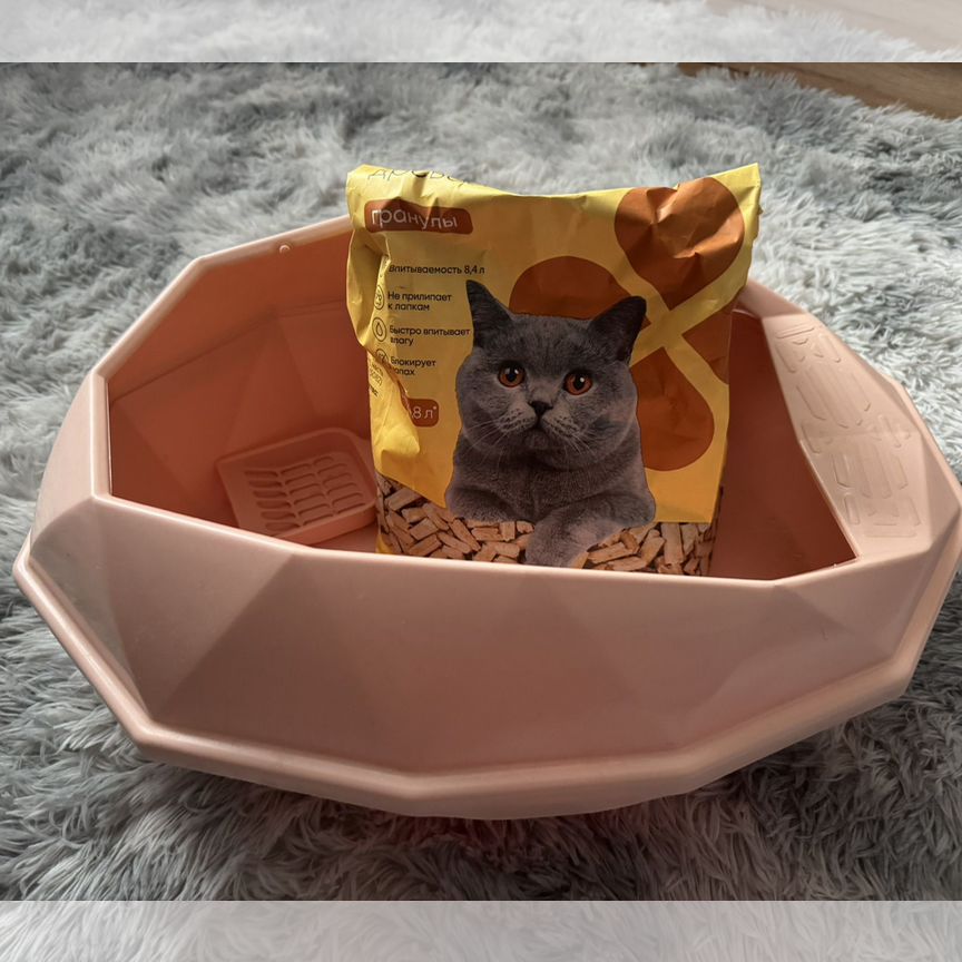 Латок для кота, отдам дором