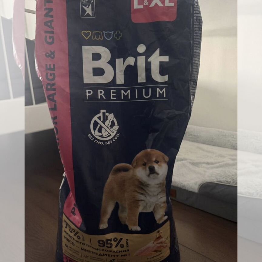 Корм для собак