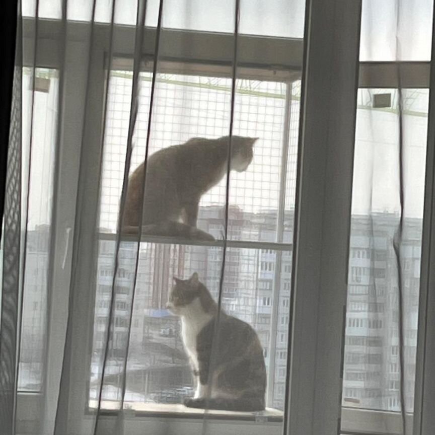 Изготовление балкончиков для кошек