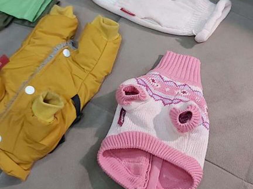 Одежда для собак девочка