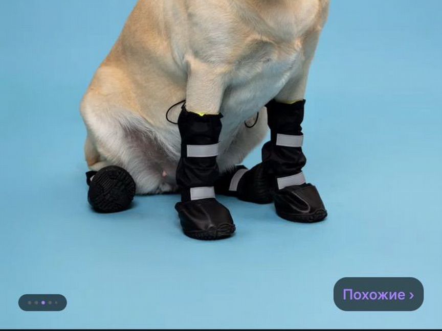 Ботинки для крупных собак