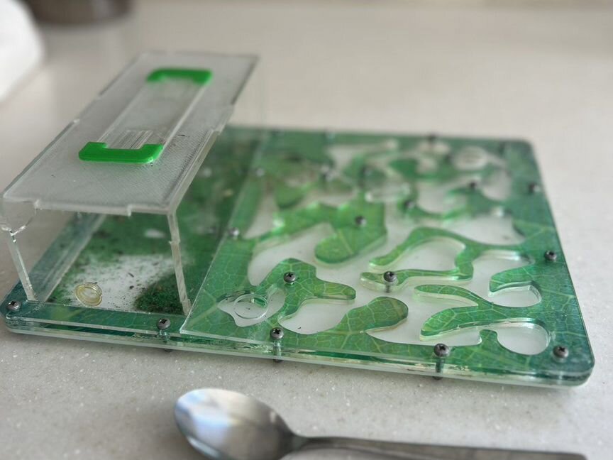 Муравьиная ферма