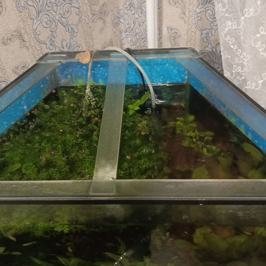 Аквариум