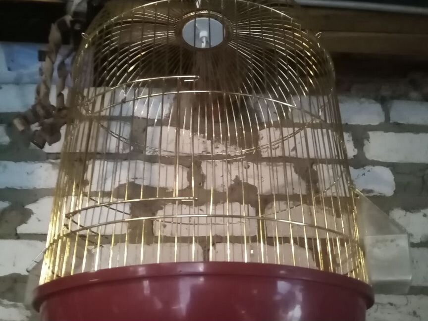 Клетка для хомячка