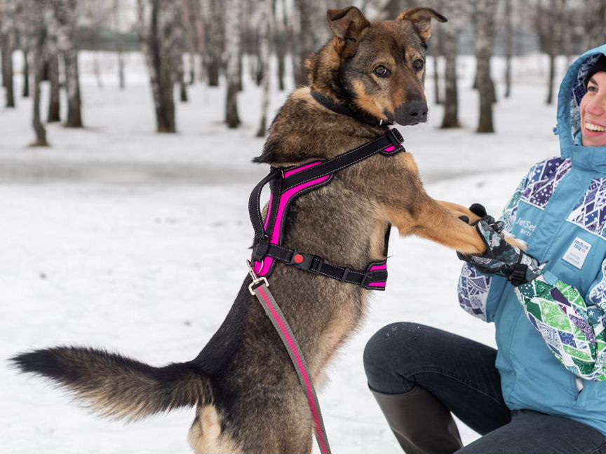 Рикки умоляет спасти его из приюта