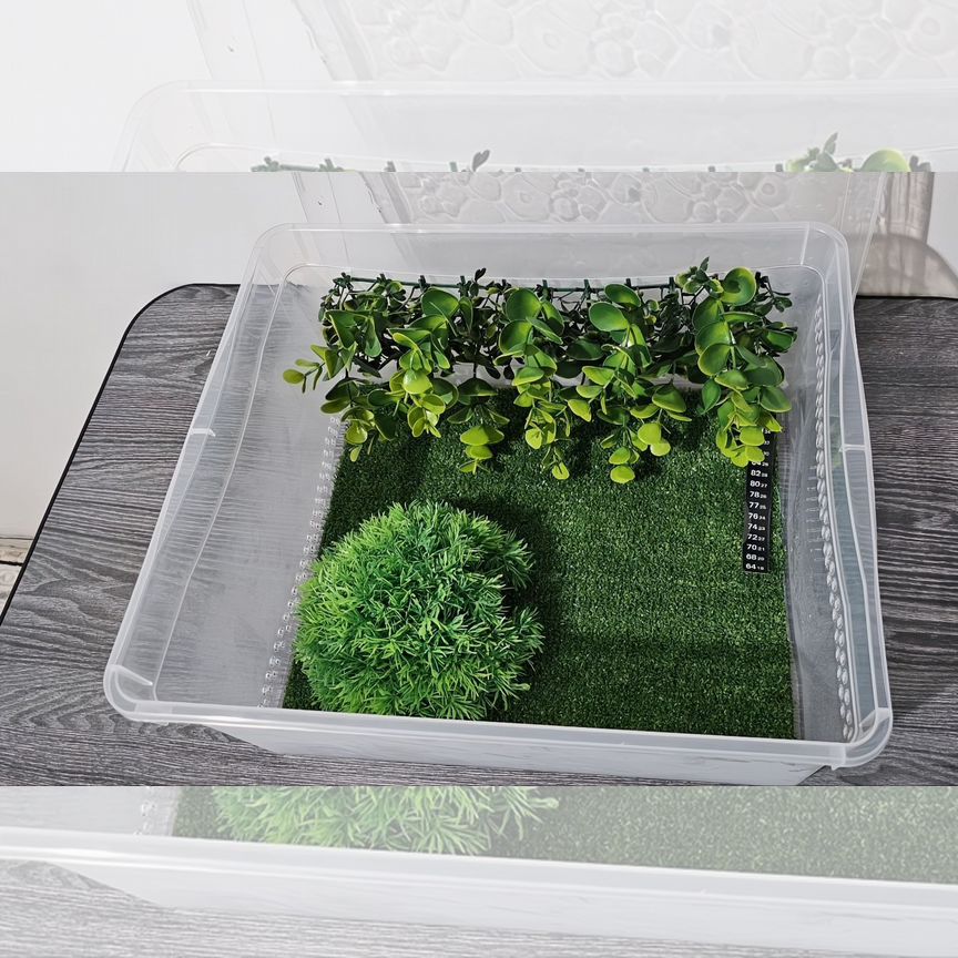 Террариум для эублефара бу