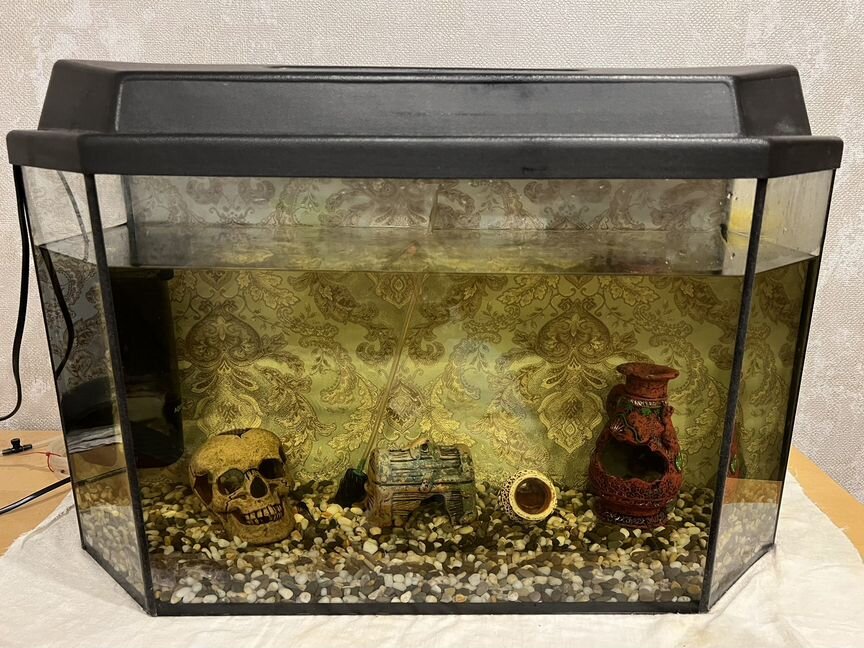 Аквариум с рыбками