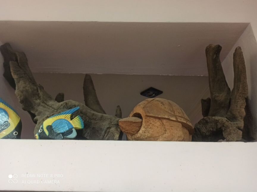 Коряги для аквариума