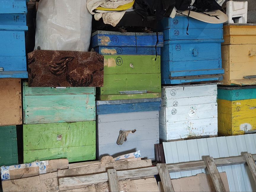 Улей для пчел бу