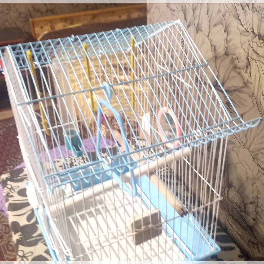 Клетка для попугая бу