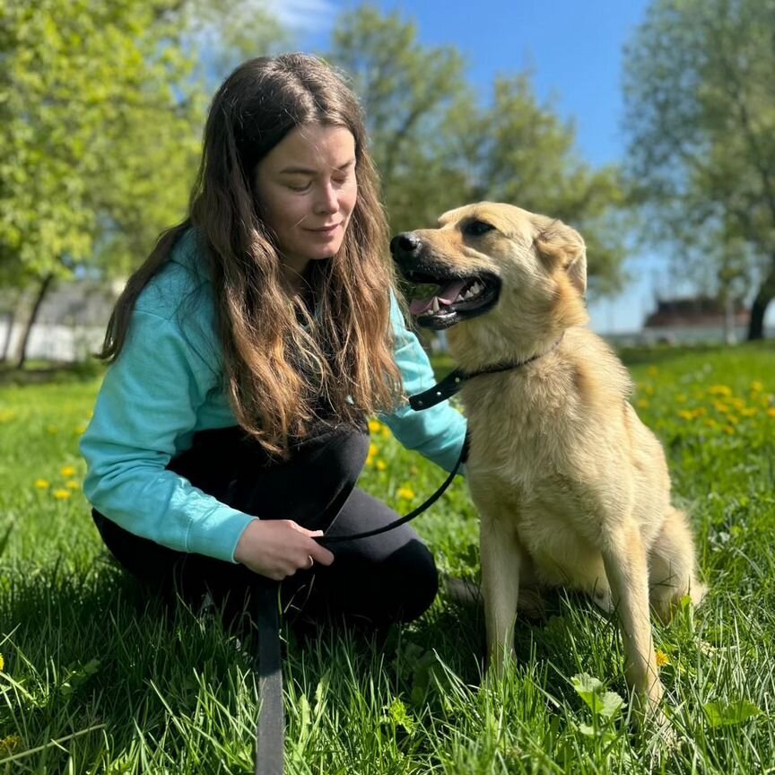 Собака Подросток Коля