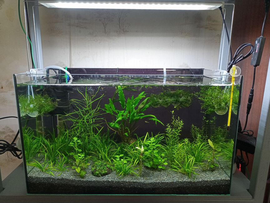 Аквариум 35л