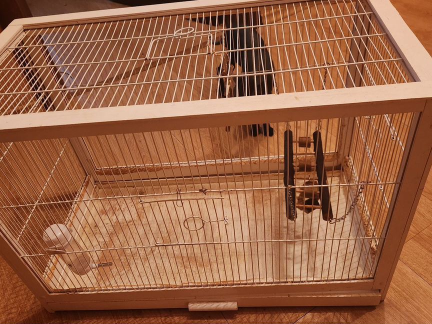 Клетка для грызунов большая