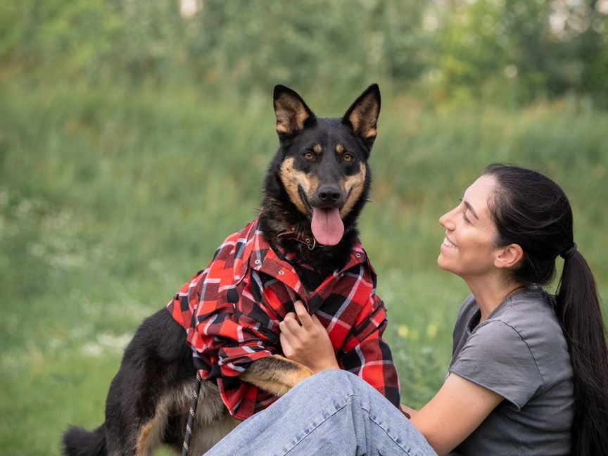 Брутальный красавчик с добрым сердцем из приюта