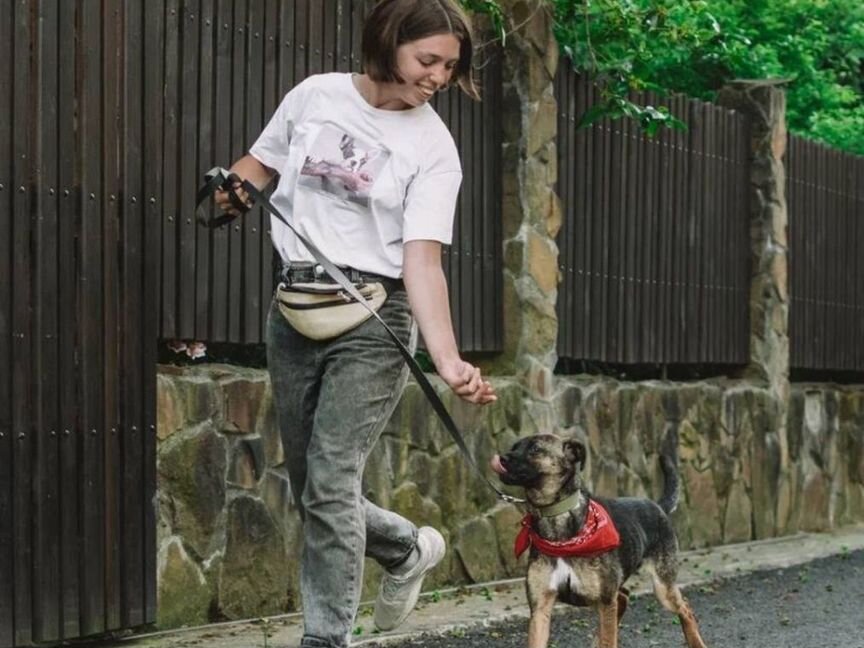 Пугливая собачка в дар людям с большим сердцем