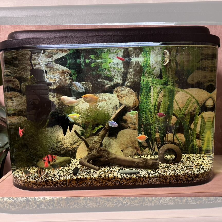 Аквариум С рыбками 105 л