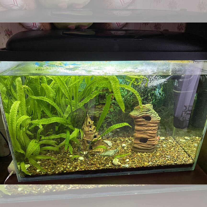 Аквариум с рыбками