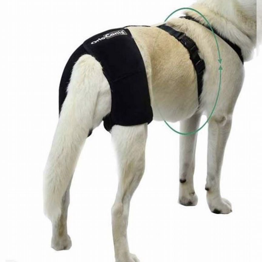 Набедренный Бандаж (размер S)