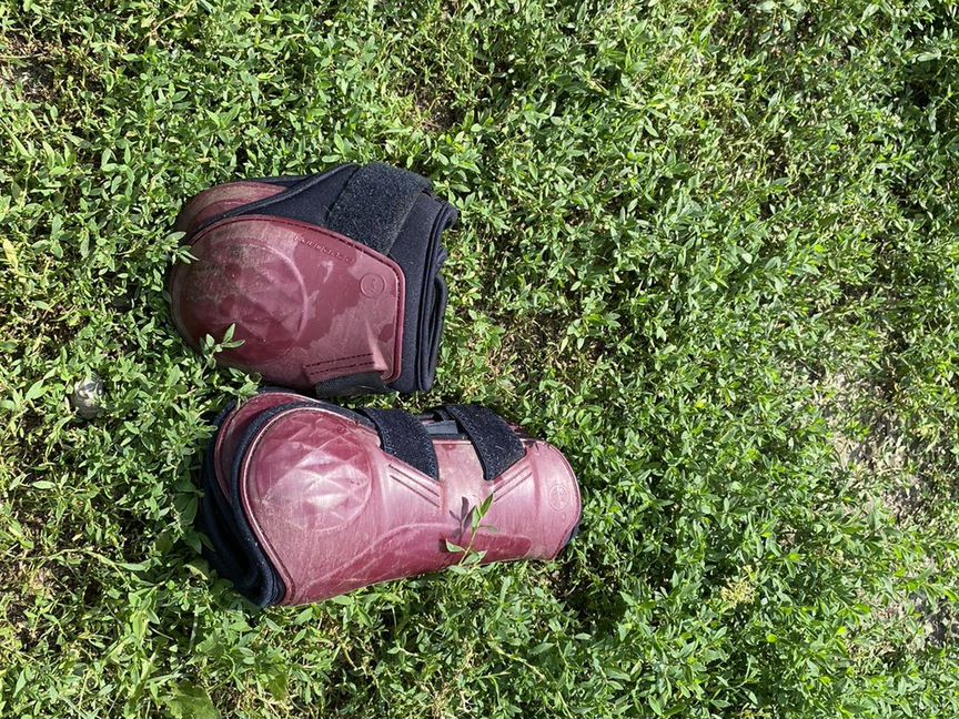 Ногавки для лошади стан