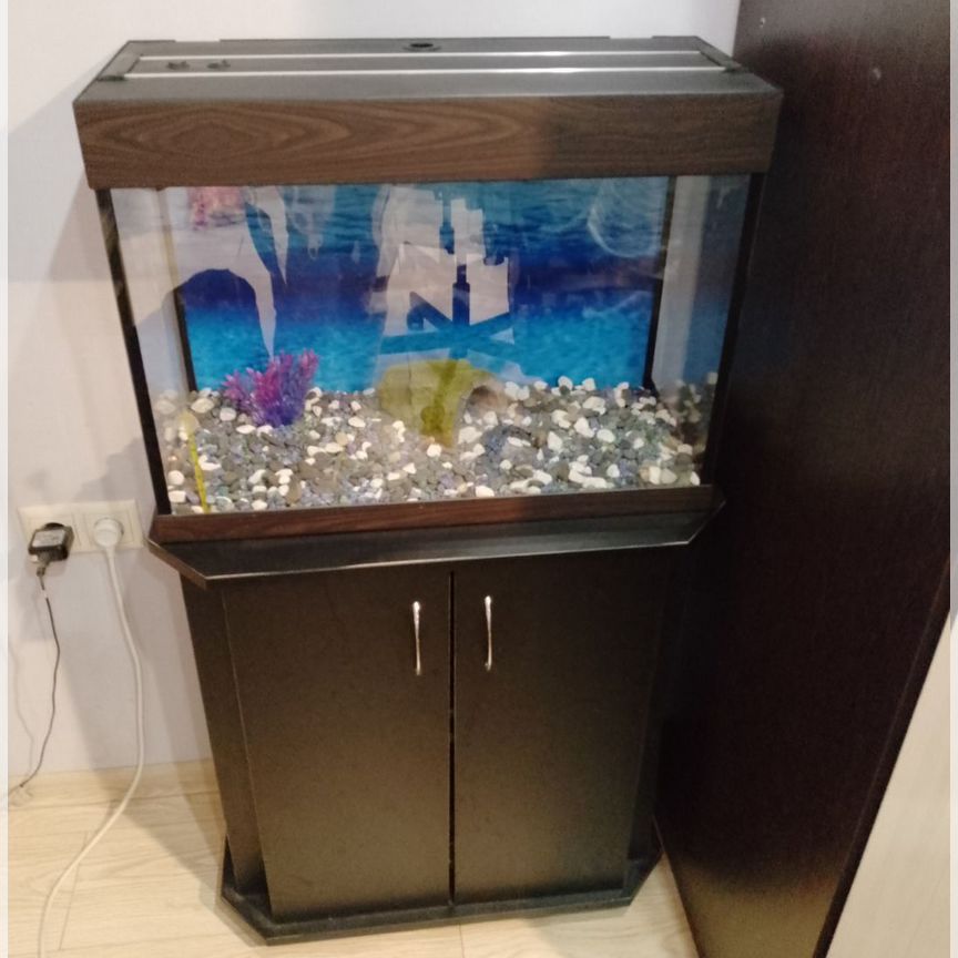 Аквариум 60л с тумбой