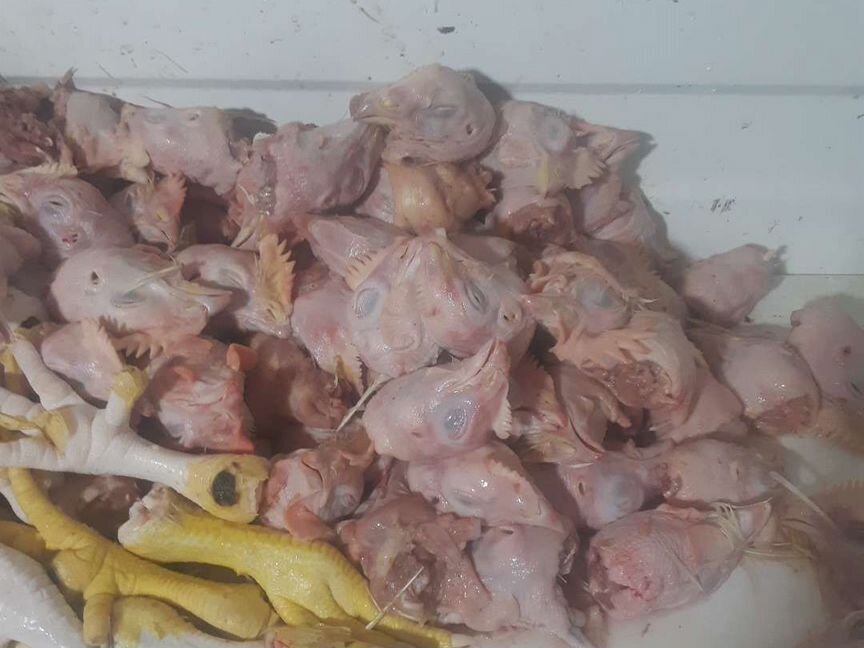 Лапы голого куриный