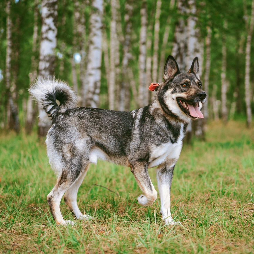 Байкал