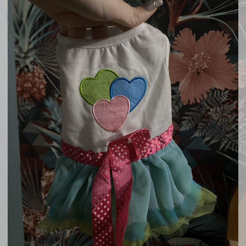 Одежда для маленьких пород собак