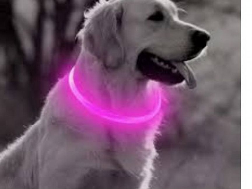 Светящийся ошейник с подзарядкой, 45 см