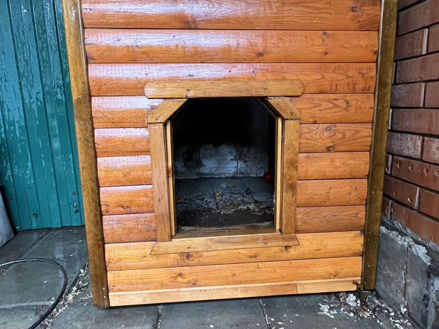 Собачья будка для большой собаки