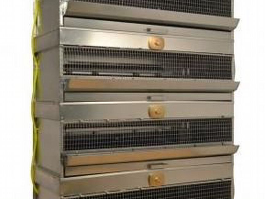 Брудер для подращивания цыплят