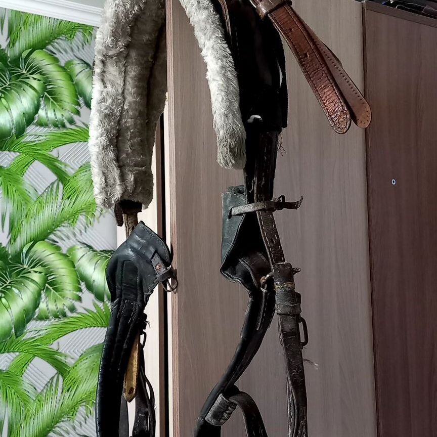 Упряжь рысистая для рысака