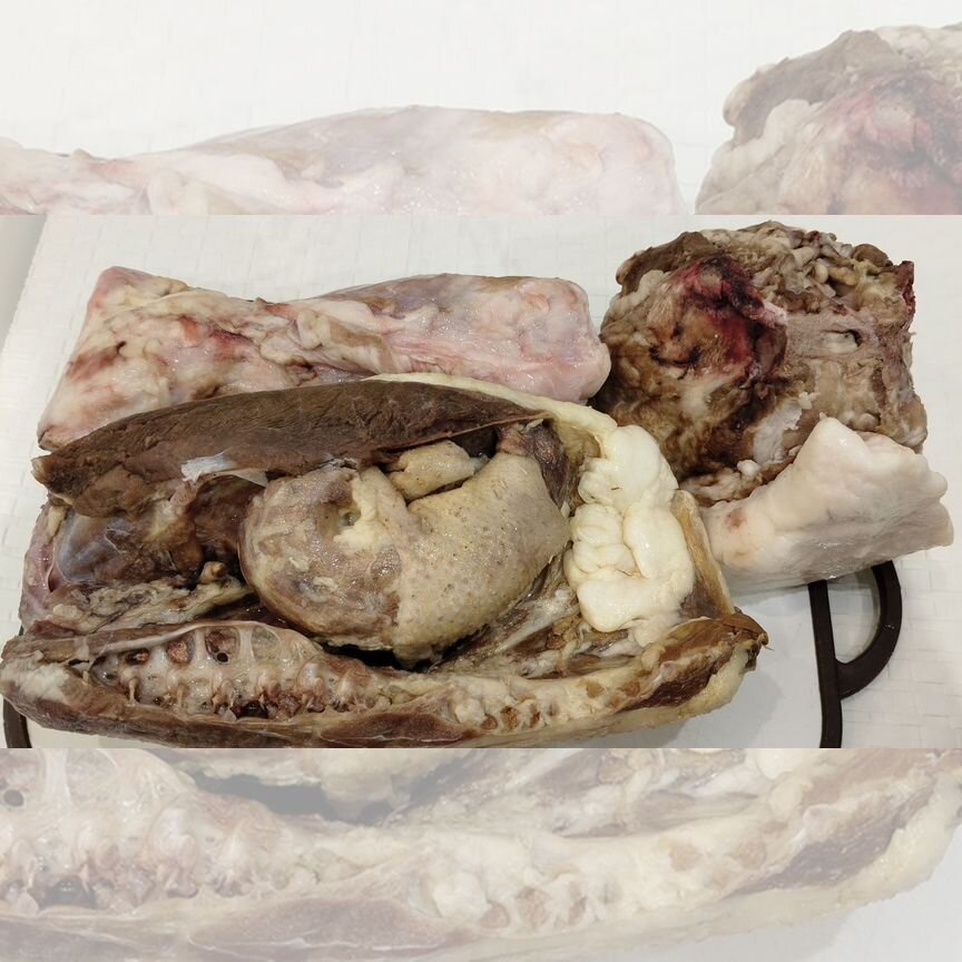 Мясо и кости для собак