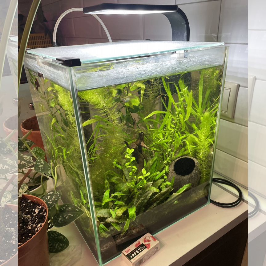 Аквариум aquael 19 литров куб