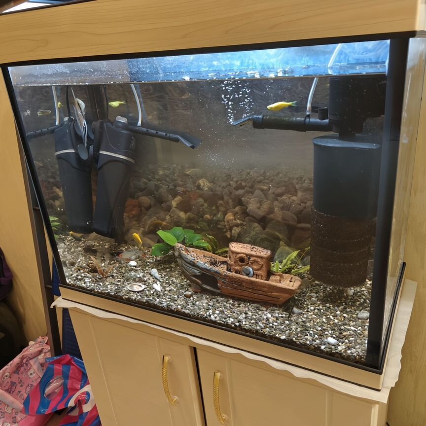 Аквариум 80 л. Полный комплект для ленивых