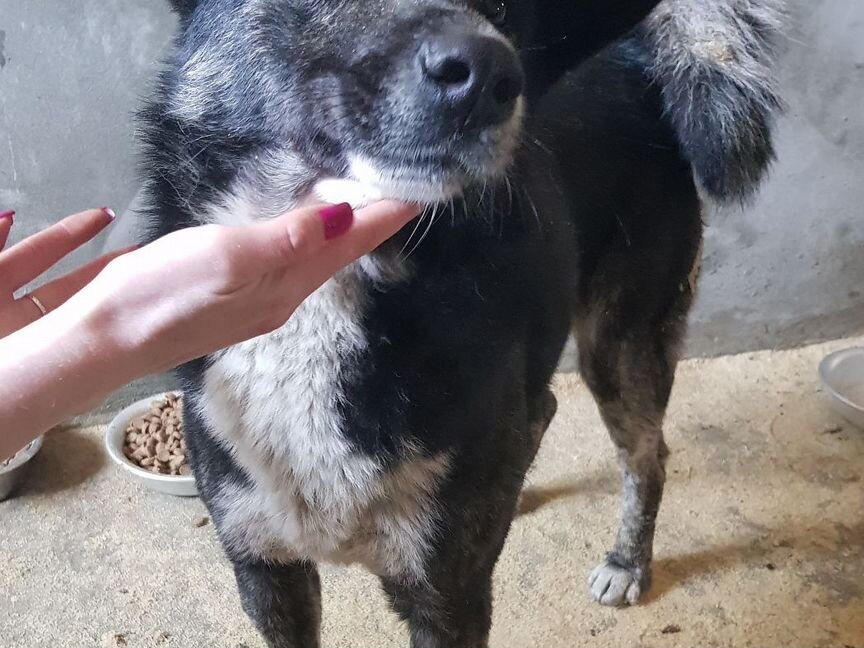 Мальчик красавчик ищет дом