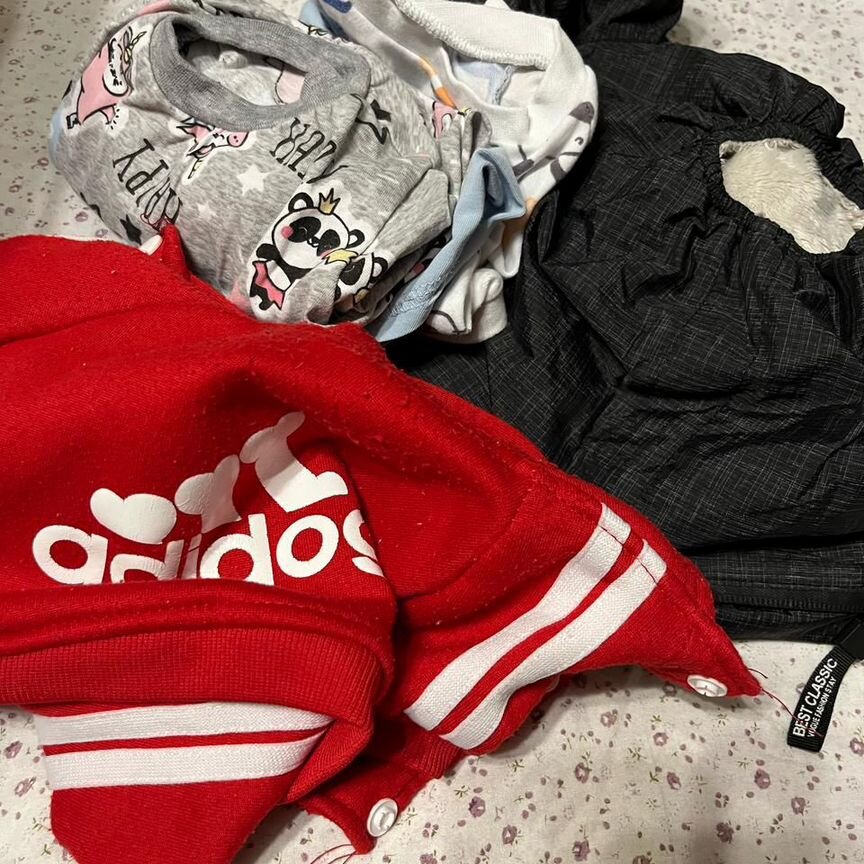 Вещи для собаки Йоркширский терьер пакетом