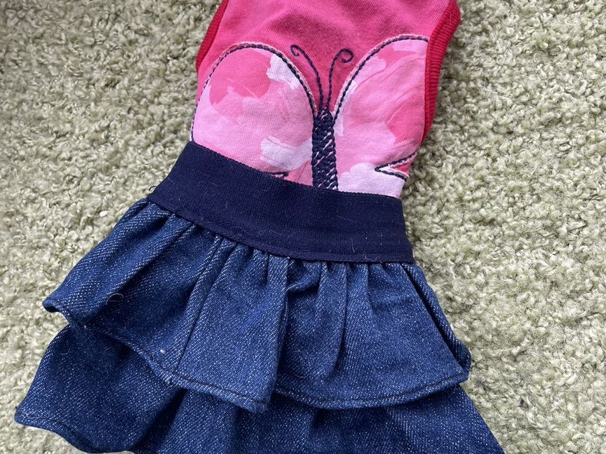 Одежда для маленьких собак