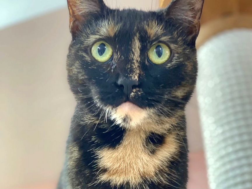 Никто не любит