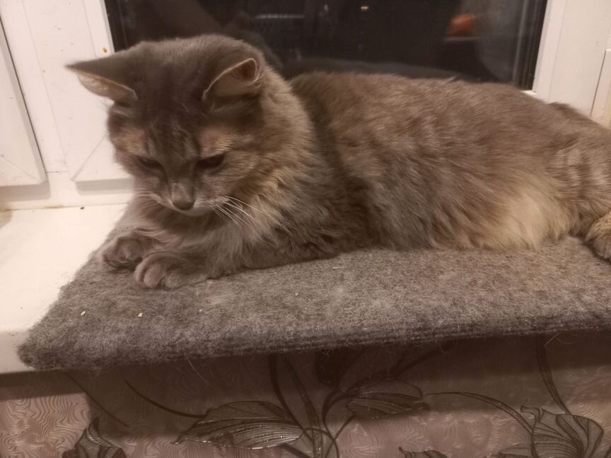 Доброе дело